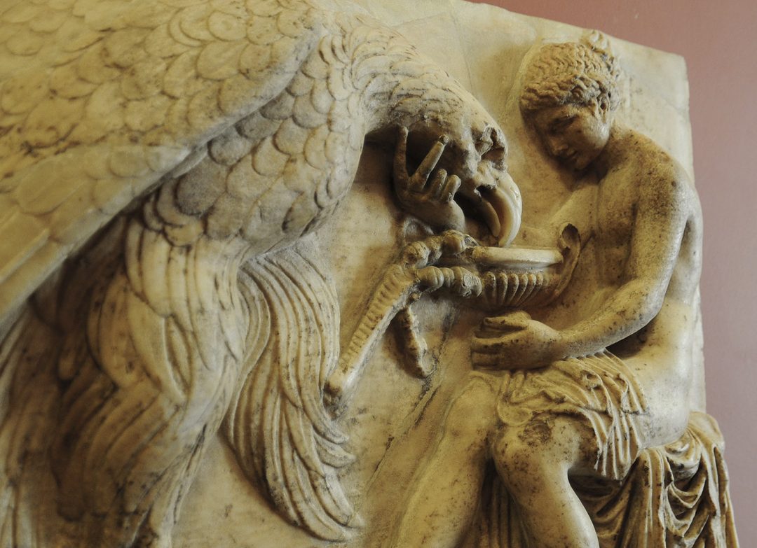 Yin Yang | Yin Yang Eyes